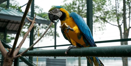 Attractions | 99 Wonderland Park